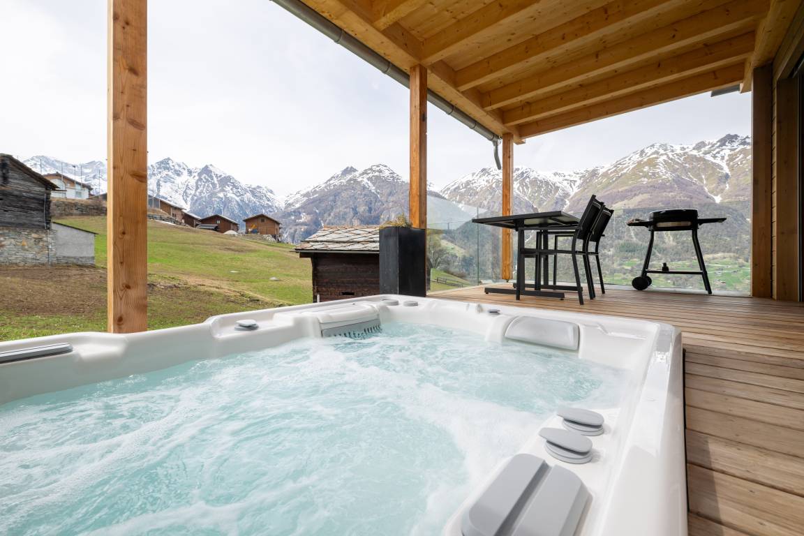 Chalet ∙ 1 Chambre ∙ 1 Personne - Suisse