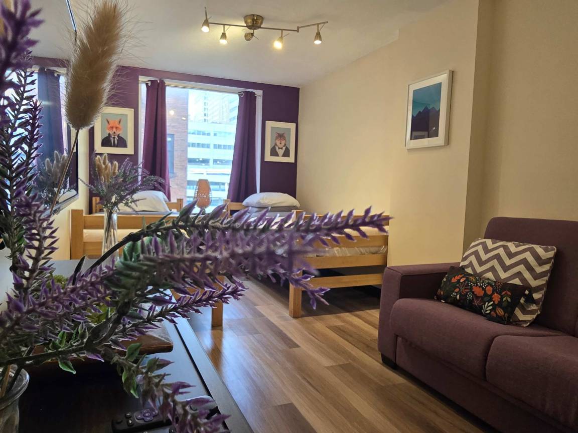 Apartment ∙ 1 Bedroom ∙ 2 Guests - PNC Park - Pittsburgh