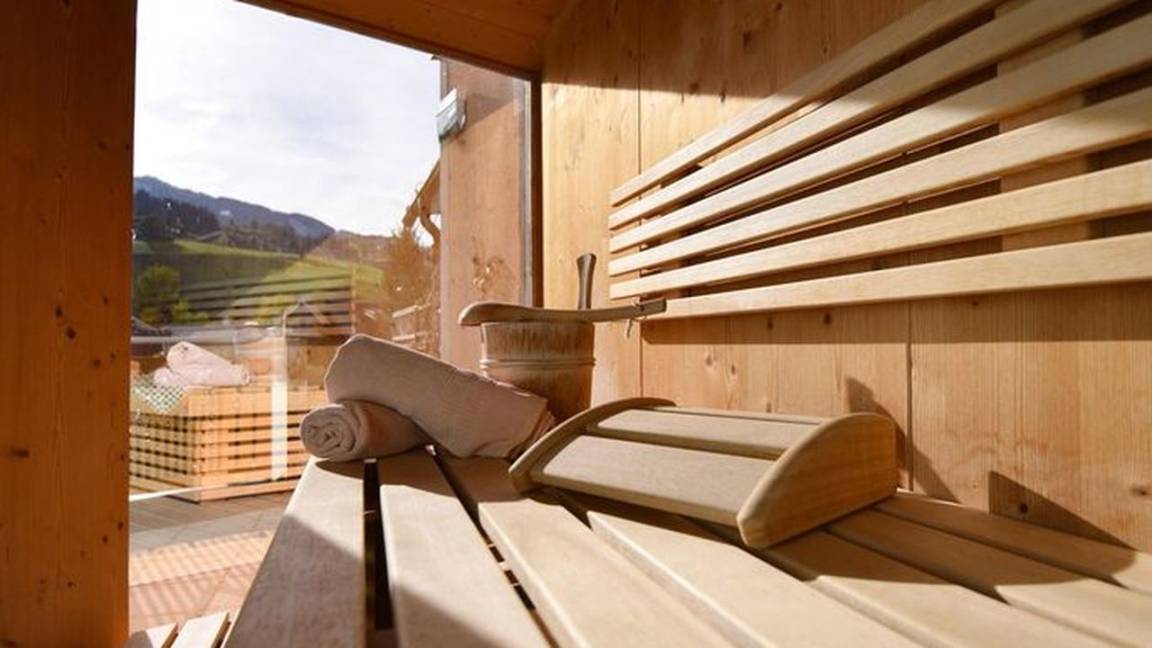 20 M² Apartment ∙ 1 Bedroom ∙ 2 Guests - Schladming