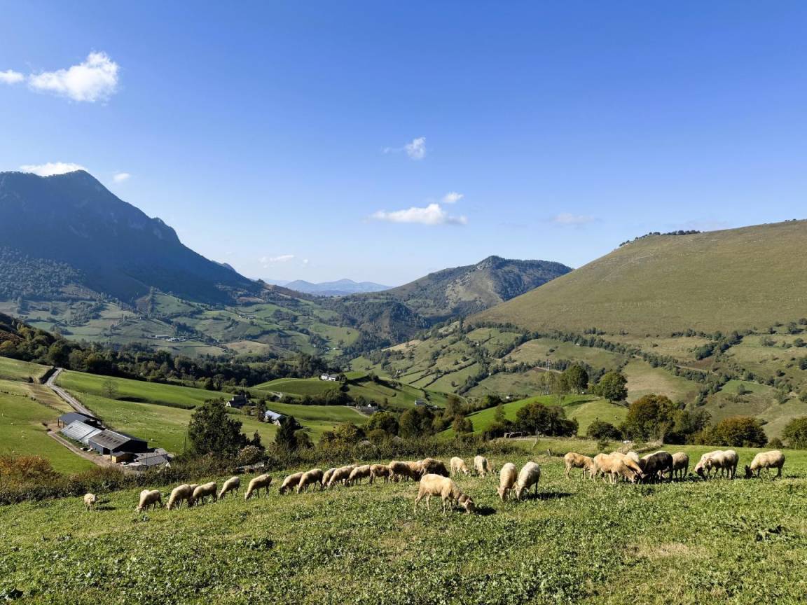 113 M² Gîte ∙ 3 Chambres ∙ 6 Personnes - La Pierre Saint Martin