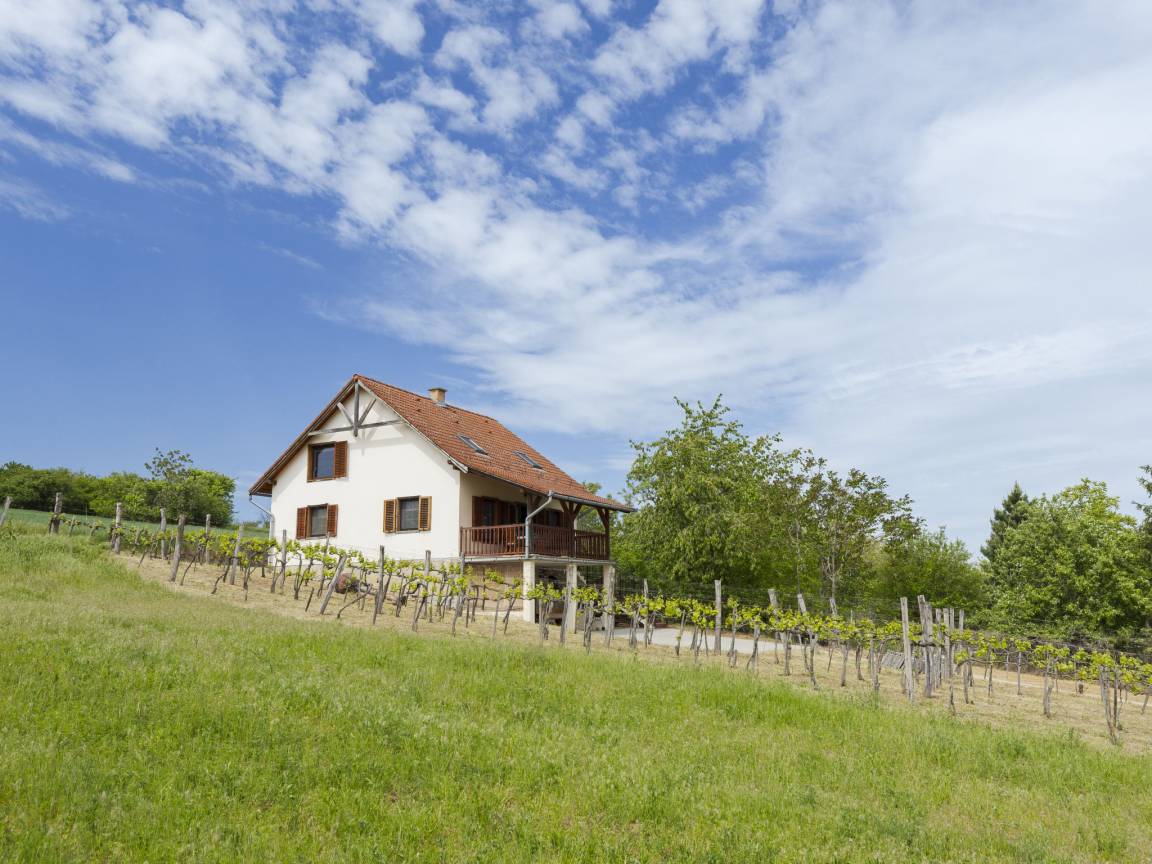 Ferienhaus ∙ 4 Schlafzimmer ∙ 8 Gäste - Plattensee