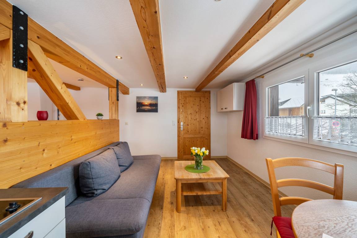 32 M² Appartamento Vacanza ∙ 1 Camera Da Letto ∙ 2 Ospiti - Kirchzarten