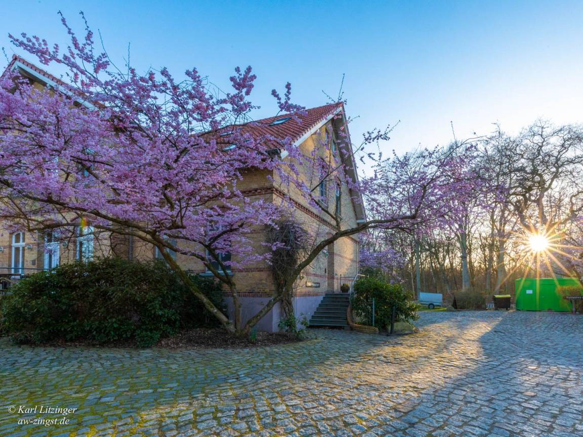 56 M² Ferienhaus ∙ 1 Schlafzimmer ∙ 3 Gäste - Zingst