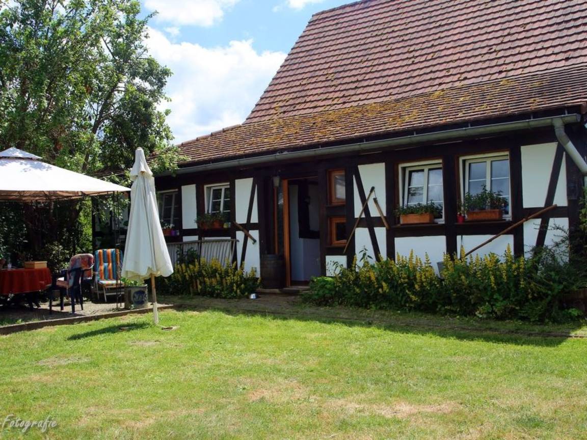 35 M² Appartement ∙ 1 Slaapkamer ∙ 2 Gasten - Wissembourg