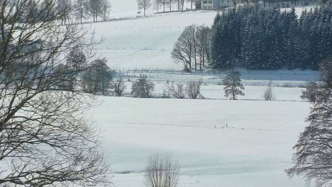 200 M² Ferienhaus ∙ 8 Schlafzimmer ∙ 12 Gäste - Bad Berleburg