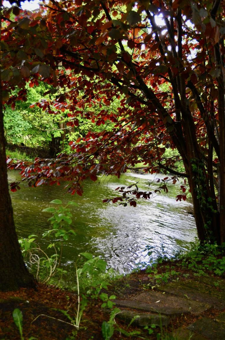 30 M² Ferienwohnung ∙ 1 Schlafzimmer ∙ 2 Gäste - Bergen