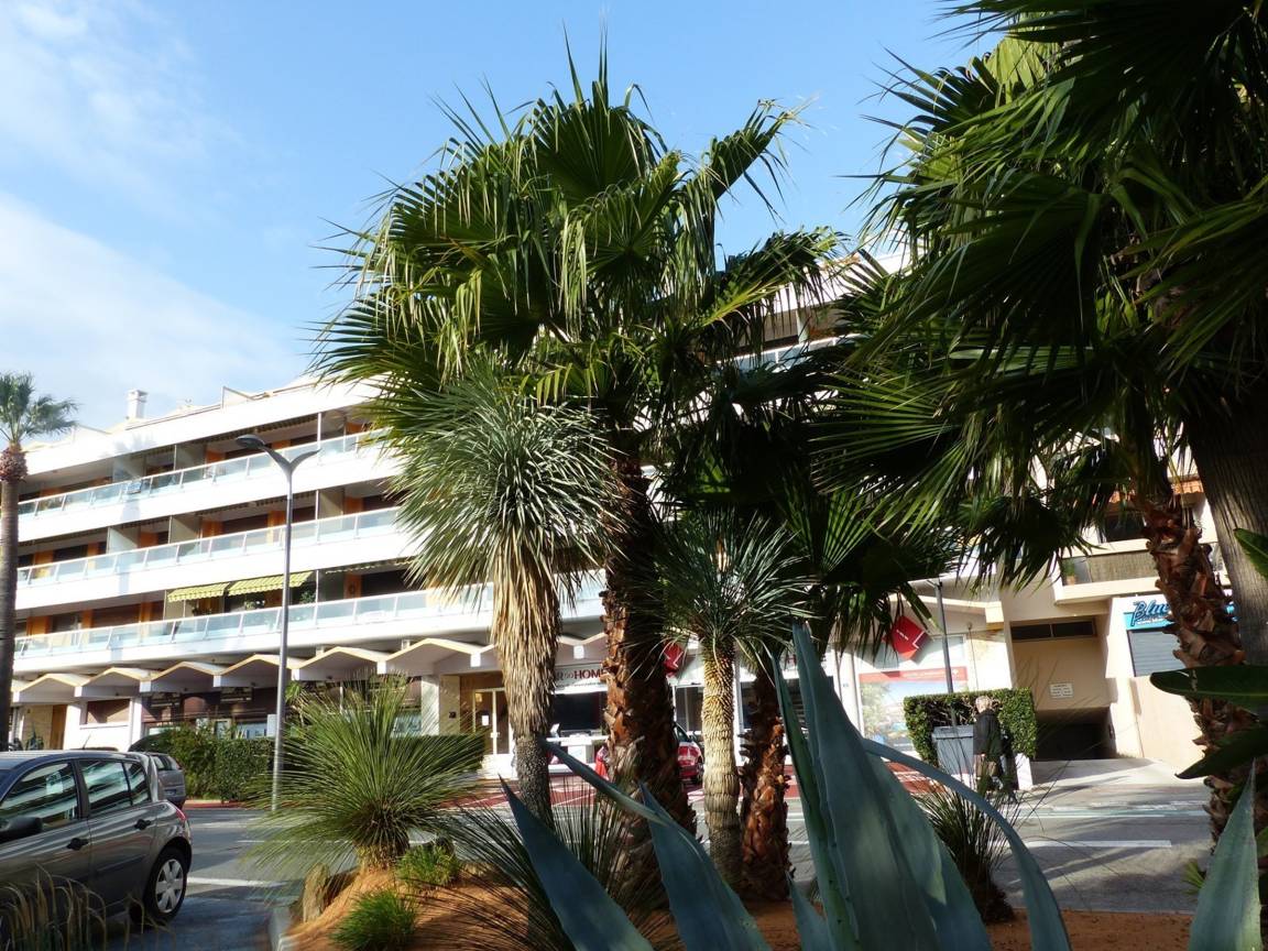 58 M² Apartment ∙ 1 Bedroom ∙ 4 Guests - Le Lavandou