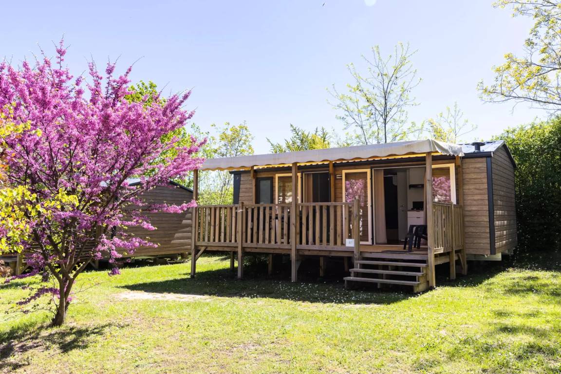 34 M² Mobil-home ∙ 3 Chambres ∙ 6 Personnes - Forcalquier