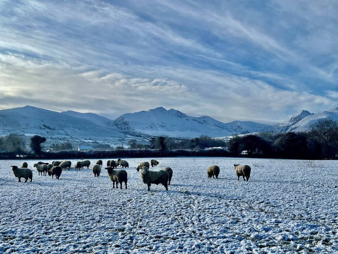 84 M² Farmhouse ∙ 3 Bedrooms ∙ 6 Guests - Dingle Peninsula