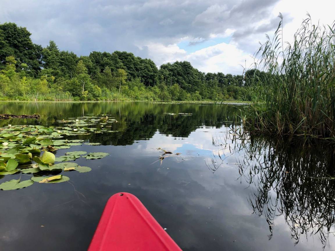 60 M² Casa ∙ 2 Quartos ∙ 5 Hóspedes - Rheinsberg