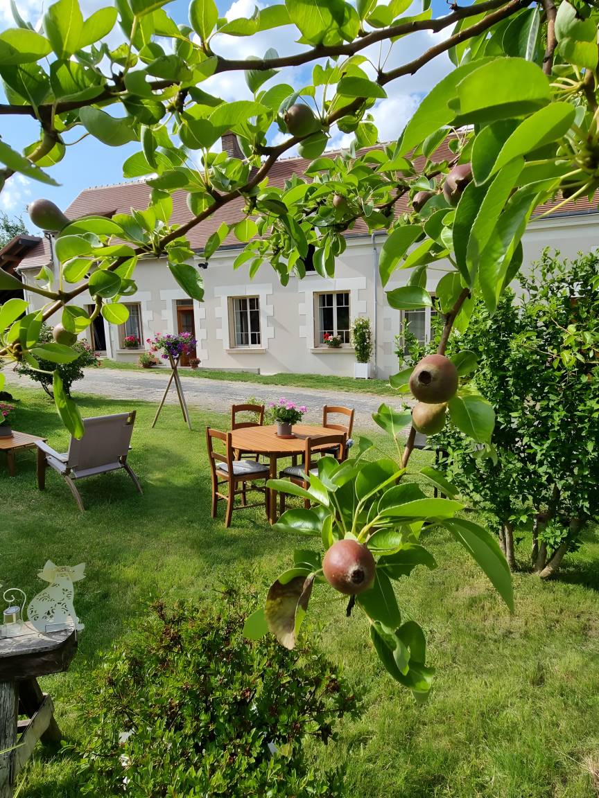 30 M² Chambre D'hôtes ∙ 2 Chambres ∙ 4 Personnes - Selles-sur-Cher