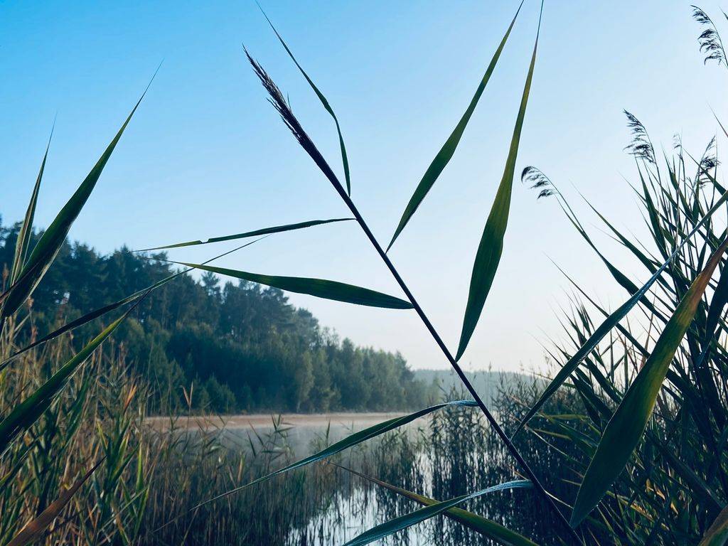 90 M² Appartement ∙ 3 Chambres ∙ 8 Personnes - Senftenberg