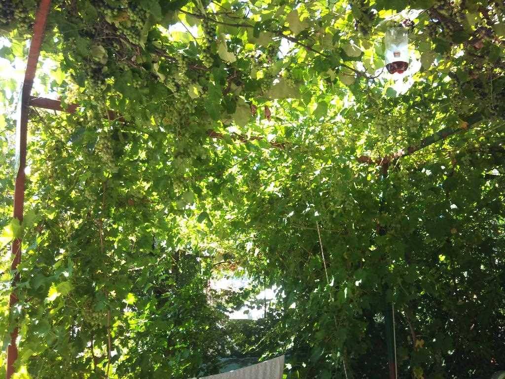40 M² Huoneisto ∙ 4 Vierasta - Primošten