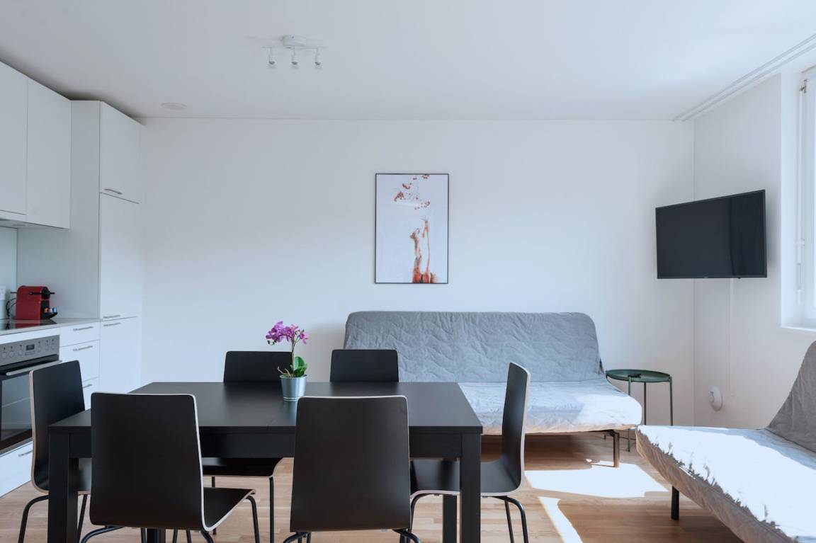 52 M² Apartamento ∙ 1 Habitación ∙ 6 Huéspedes - Basilea