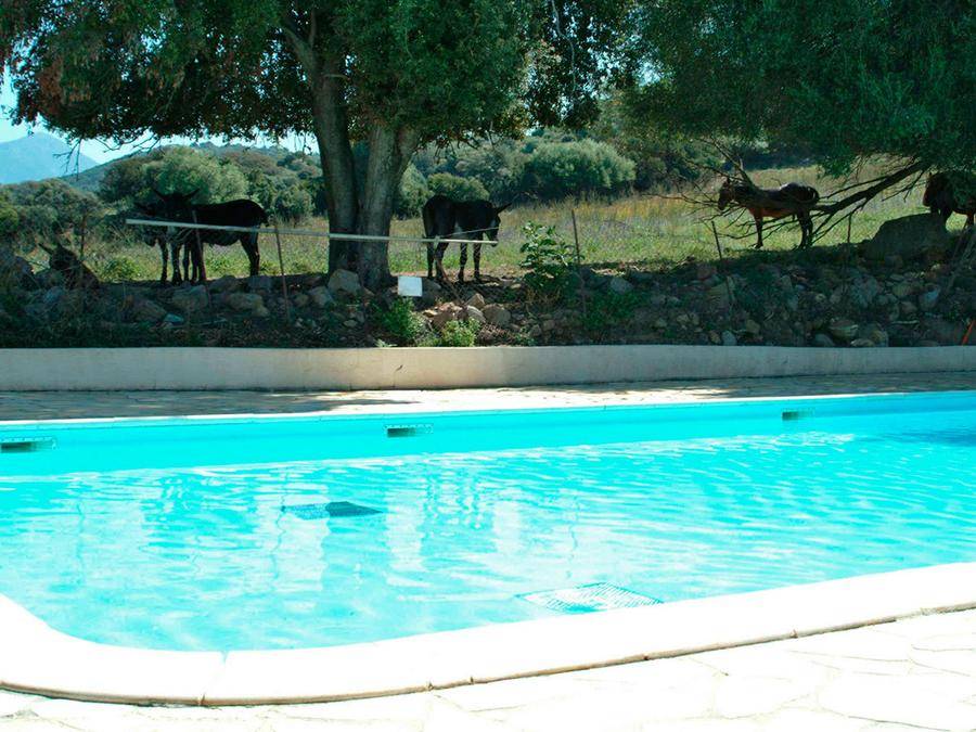 17 M² Chalet ∙ 1 Habitación ∙ 3 Huéspedes - Corsica