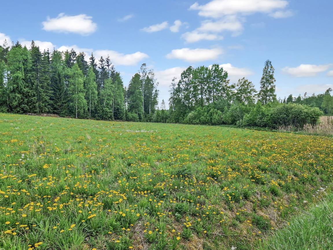 70 M² Talo ∙ 2 Makuuhuonetta ∙ 6 Vierasta - Hausjärvi