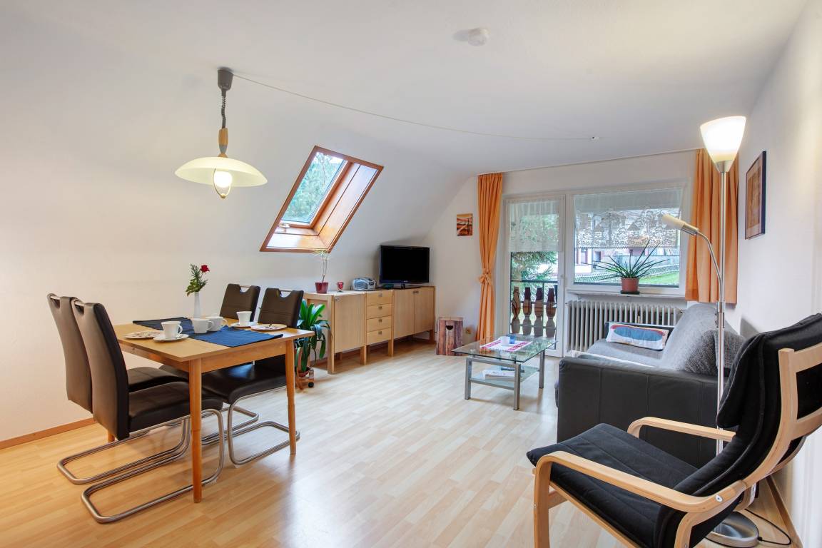 66 M² Appartement ∙ 1 Chambre ∙ 4 Personnes - Titisee-Neustadt