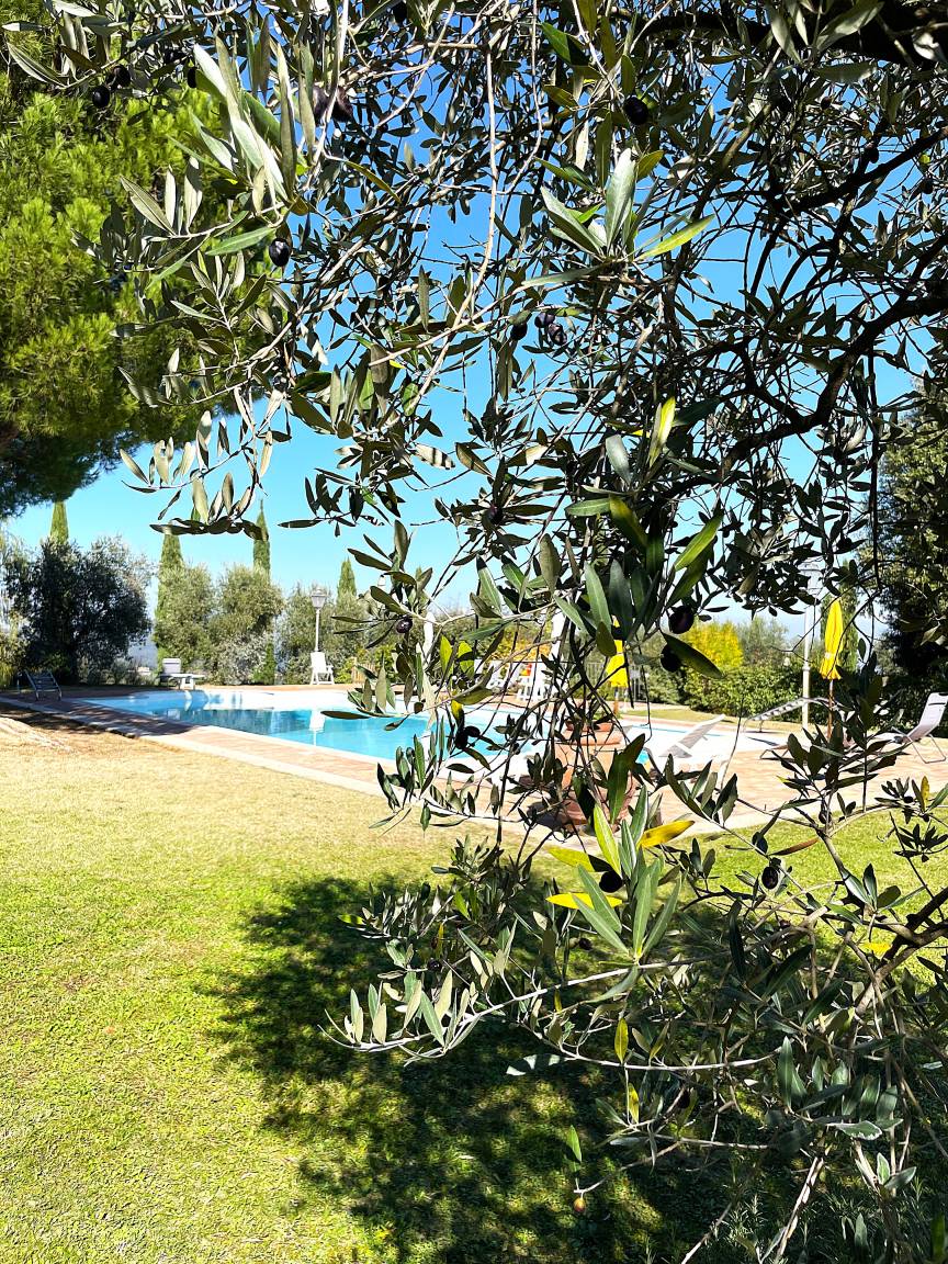 44 M² Farmhouse ∙ 1 Bedroom ∙ 2 Guests - Montepulciano