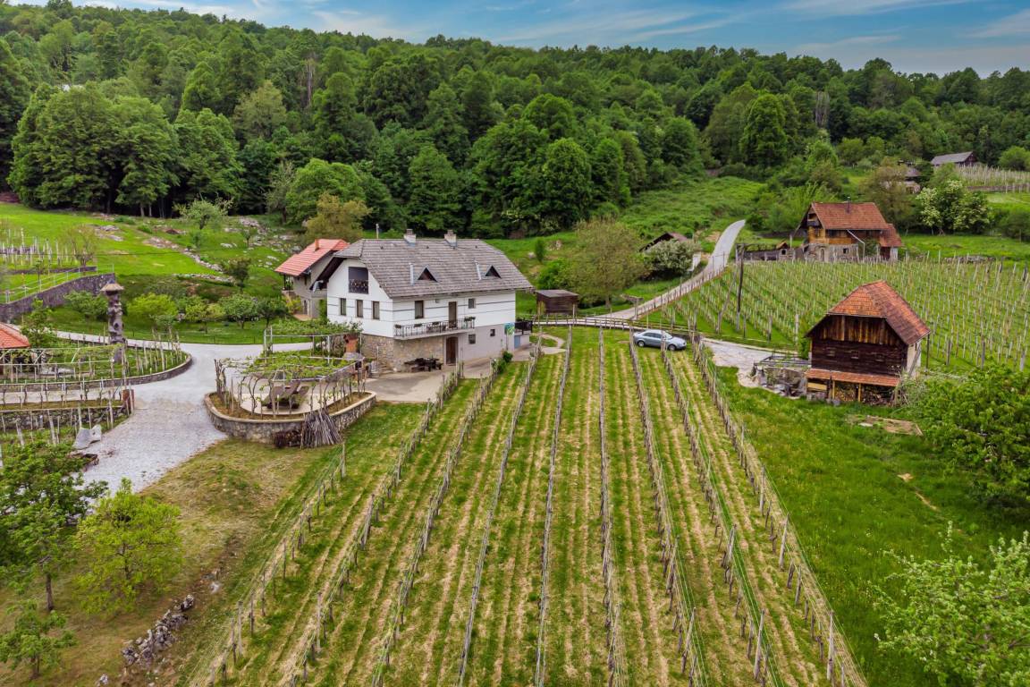 181 M² House ∙ 5 Bedrooms ∙ 12 Guests - Slovenia