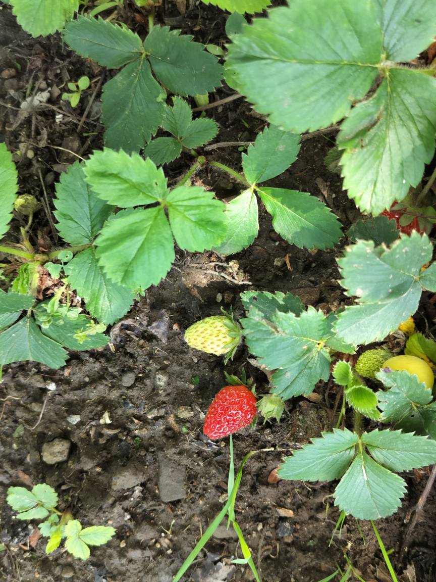 150 M² Casa ∙ 3 Habitaciones ∙ 6 Huéspedes - Rupit