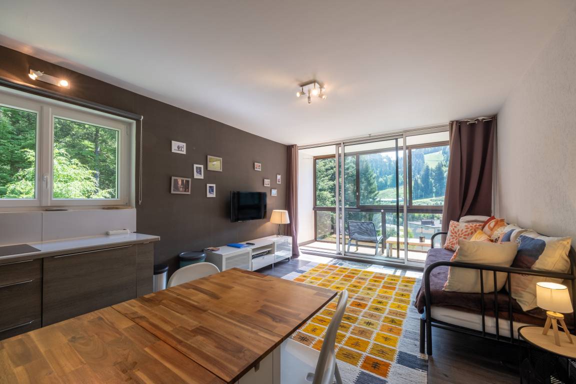 30 M² Appartement ∙ 1 Chambre ∙ 5 Personnes - Lac de Longemer