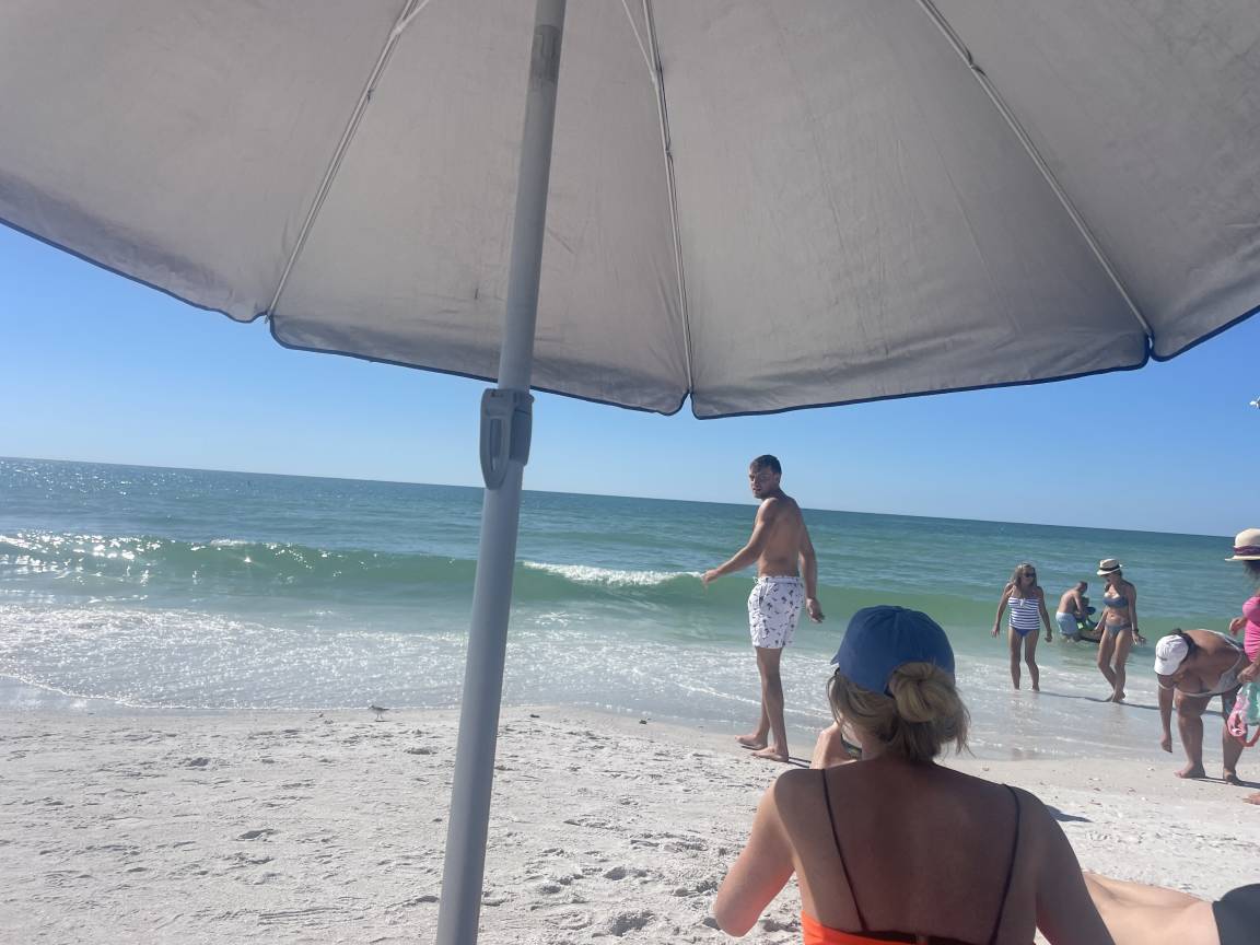 Condo ∙ 1 Bedroom ∙ 4 Guests - Sarasota