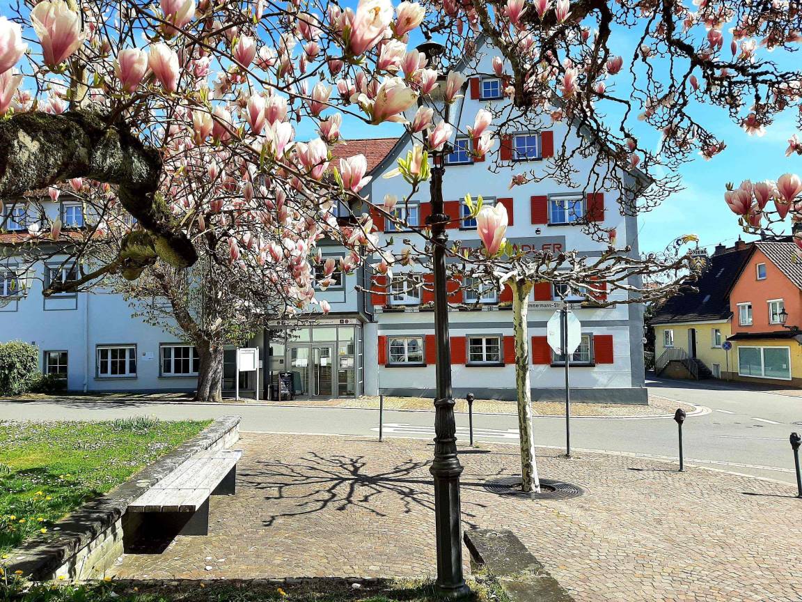 Privatzimmer ∙ 2 Gäste - Hagnau am Bodensee