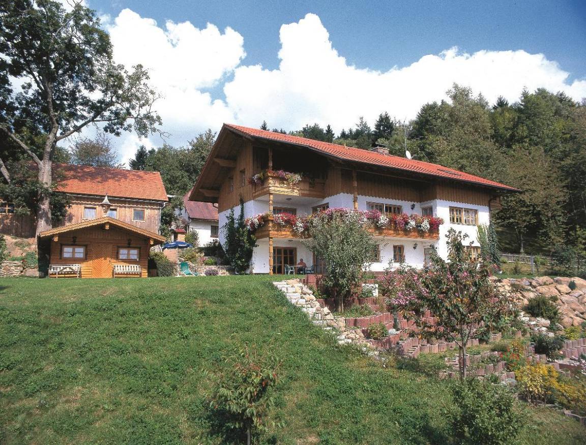 55 M² Ferienwohnung ∙ 1 Schlafzimmer ∙ 3 Gäste - Spiegelau