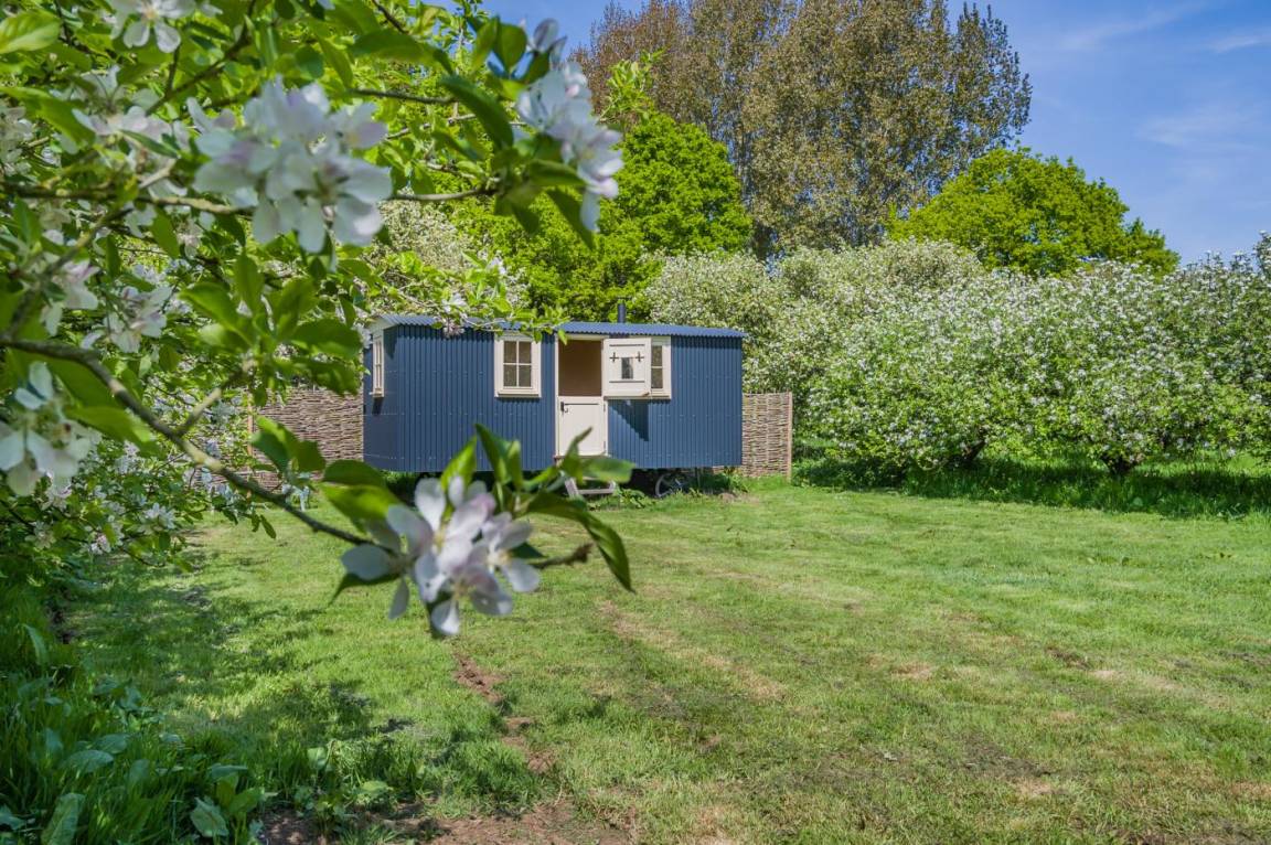 Cottage ∙ 1 Bedroom ∙ 2 Guests - Holkham