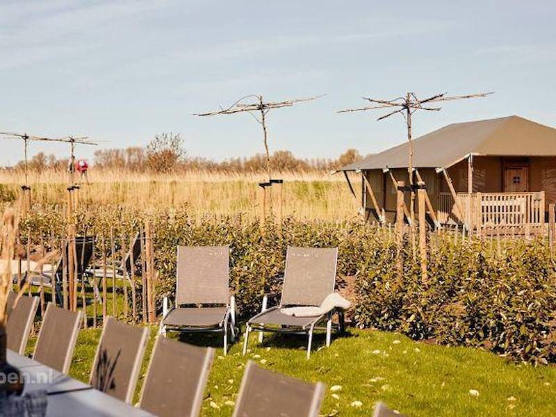 Maison De Vacances ∙ 4 Chambres ∙ 10 Personnes - Castricum