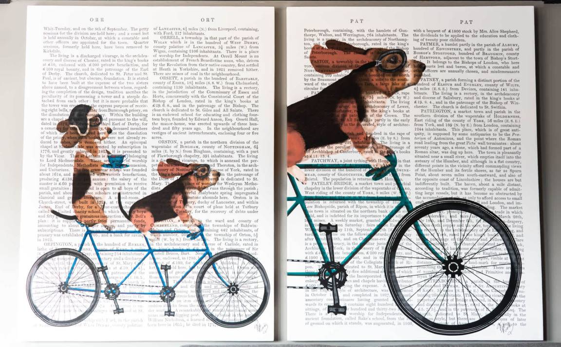 Apartamento ∙ 2 Habitaciones ∙ 3 Huéspedes - Ciudad de México