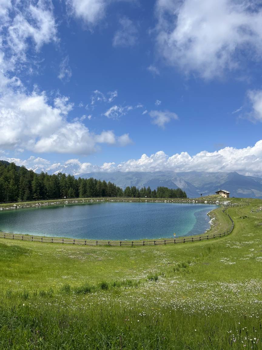 Chalet ∙ 1 Chambre ∙ 3 Personnes - Cogne