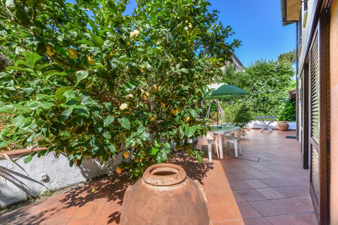 30 M² Studio ∙ 1 Schlafzimmer ∙ 2 Gäste - Marciana Marina