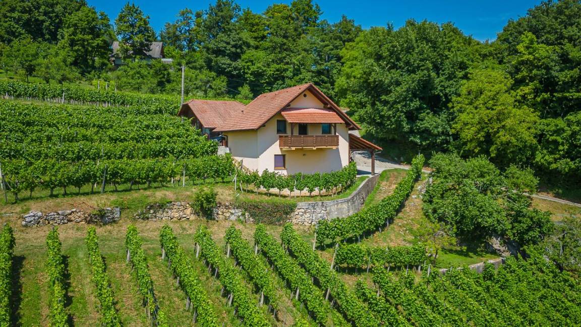 54 M² House ∙ 1 Bedroom ∙ 4 Guests - Novo mesto