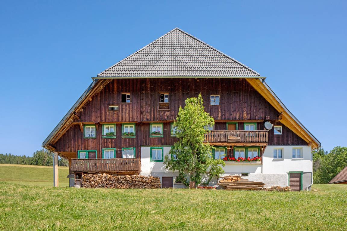 50 M² Appartement ∙ 1 Chambre ∙ 4 Personnes - Titisee-Neustadt