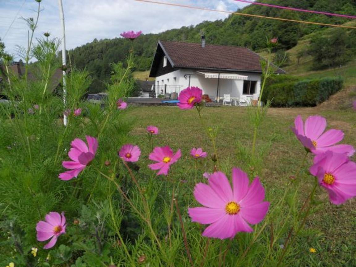 44 M² Cottage ∙ 1 Bedroom ∙ 3 Guests - Alps