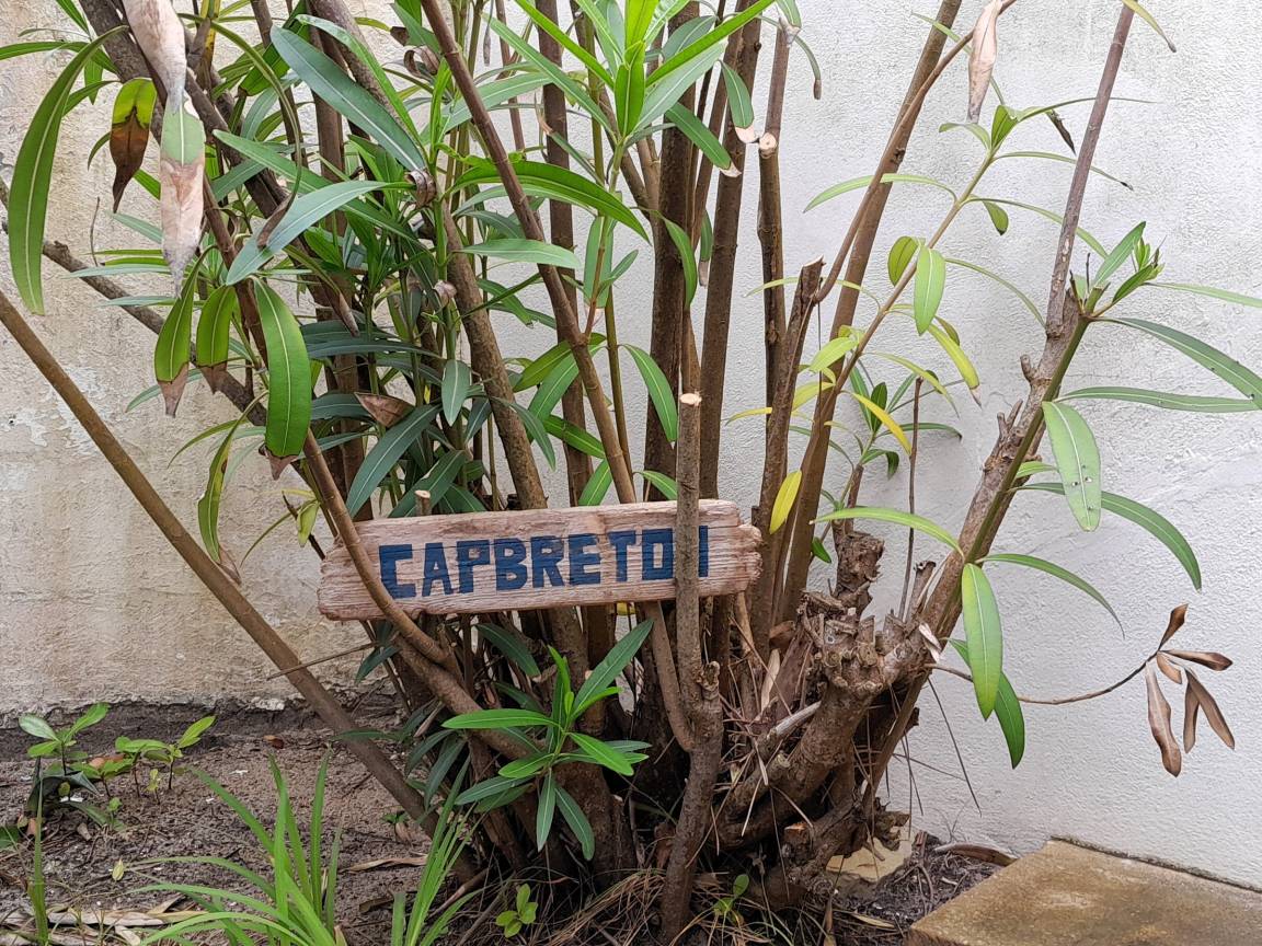 58 M² Huis ∙ 2 Slaapkamers ∙ 6 Gasten - Capbreton