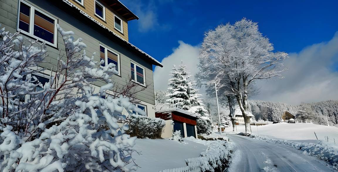 54 M² Ferienwohnung ∙ 1 Schlafzimmer ∙ 3 Gäste - Furtwangen im Schwarzwald