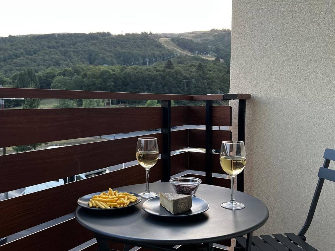 24 M² Studio ∙ 1 Chambre ∙ 4 Personnes - Lac Pavin