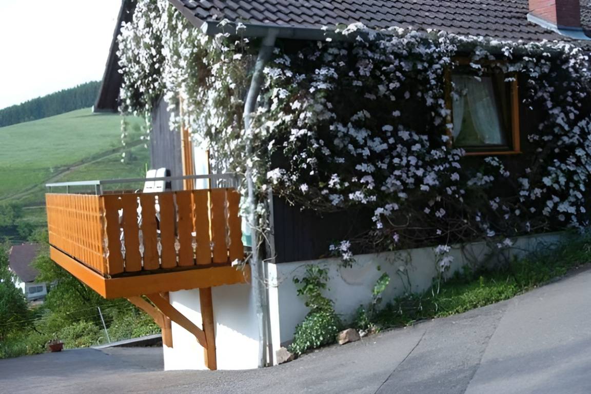 50 M² Maison De Vacances ∙ 2 Chambres ∙ 4 Personnes - Schuttertal