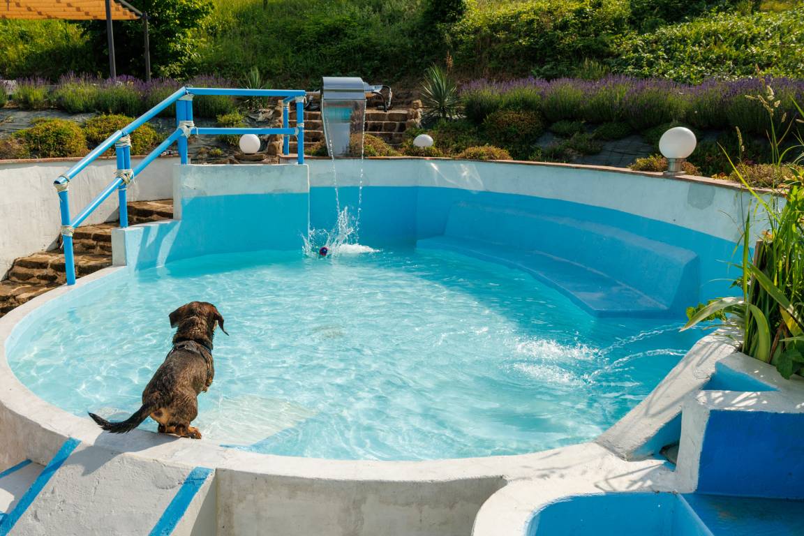 50 M² Farmhouse ∙ 2 Bedrooms ∙ 6 Guests - Pergola