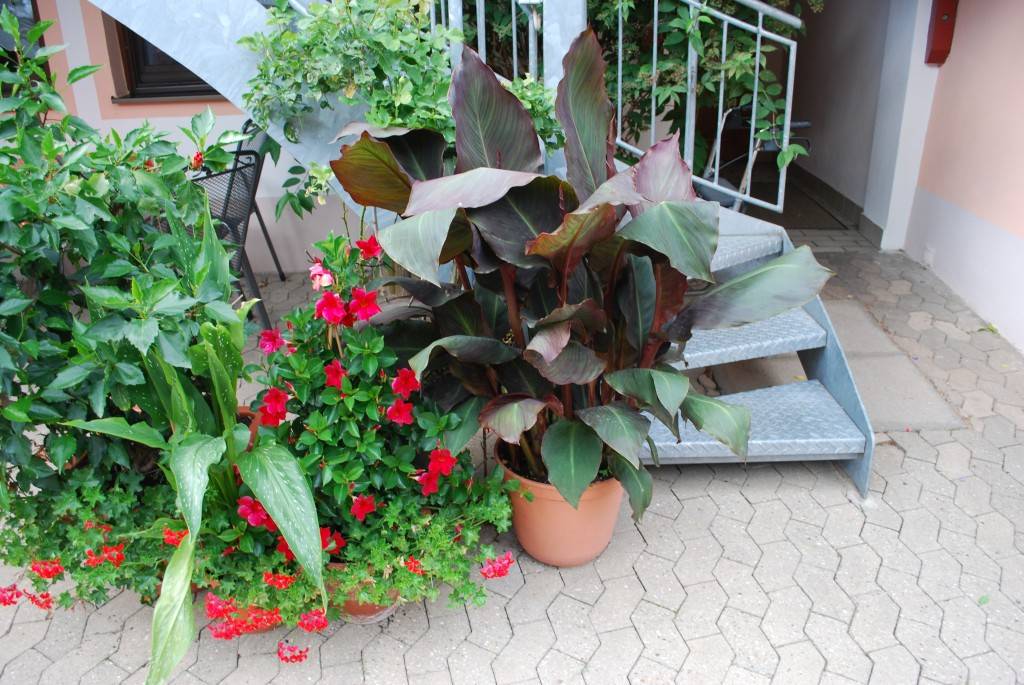 45 M² Ferienwohnung ∙ 1 Schlafzimmer ∙ 3 Gäste - Ansbach