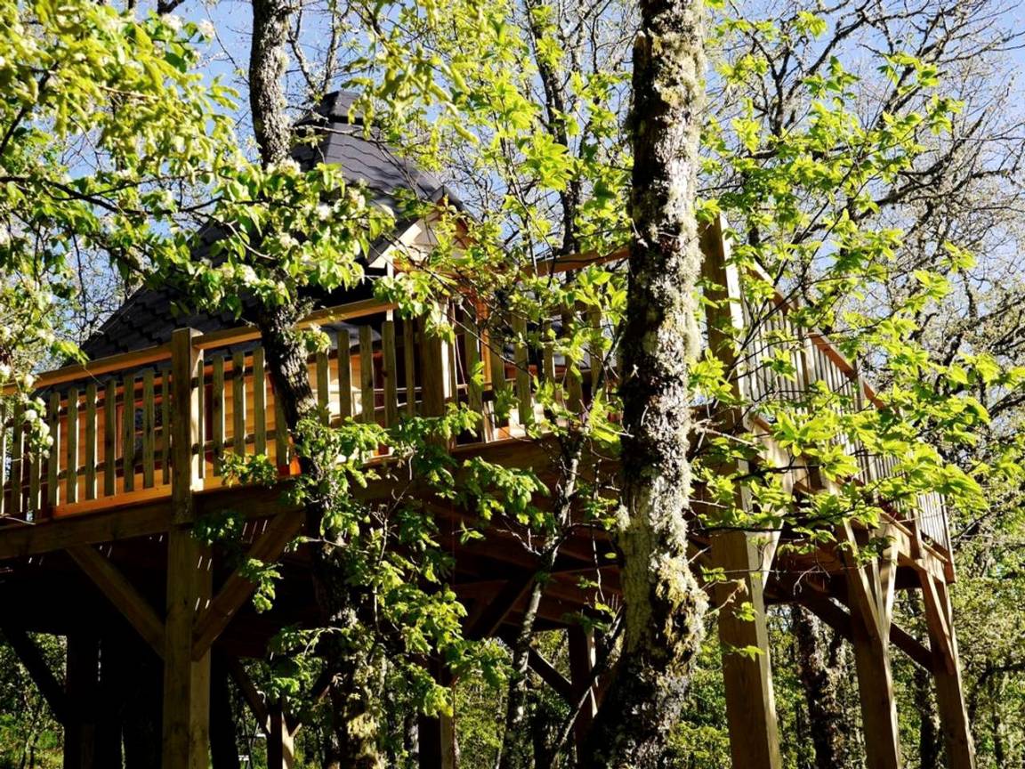 Camping ∙ 1 Chambre ∙ 4 Personnes - Montalegre