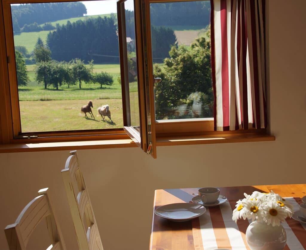 57 M² Apartment ∙ 1 Bedroom ∙ 2 Guests - Cham