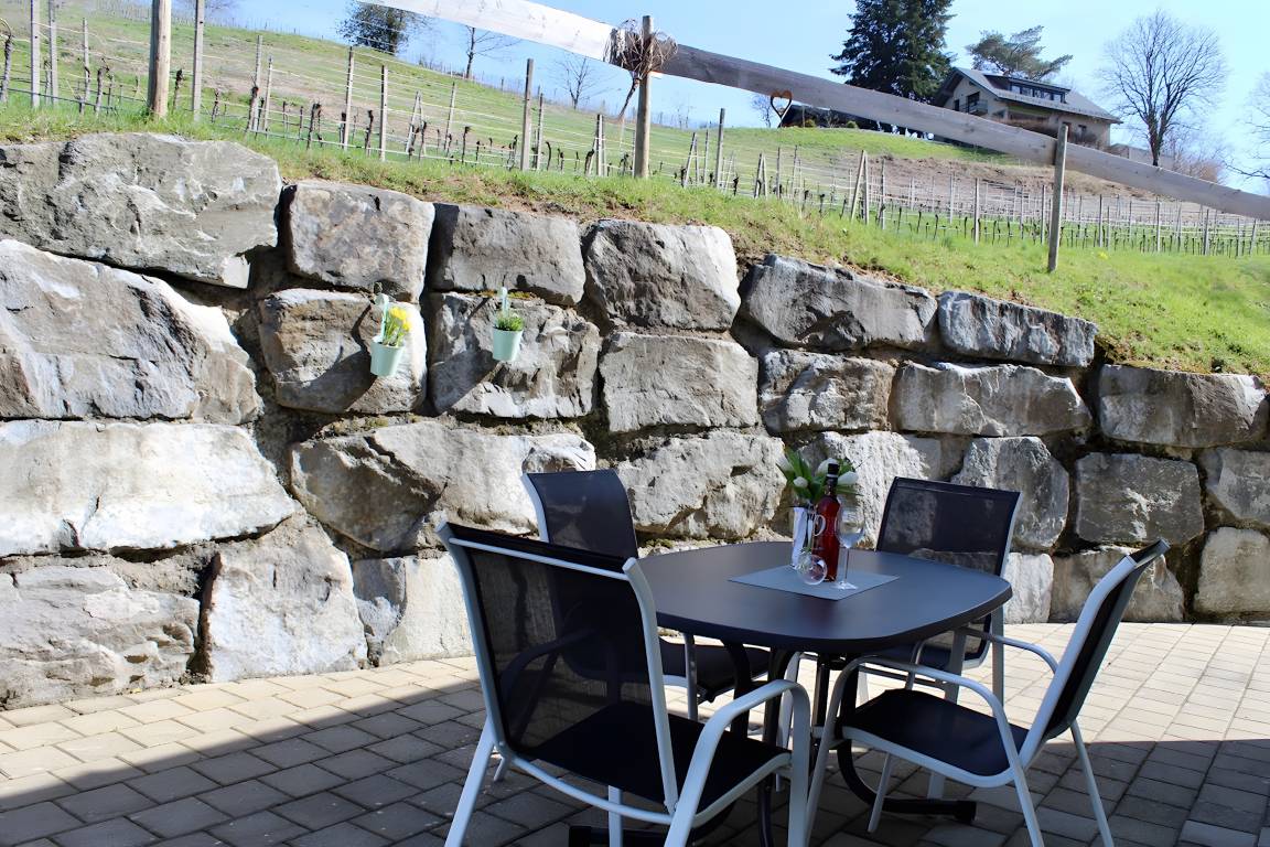 45 M² Appartement ∙ 1 Chambre ∙ 3 Personnes - Durbach