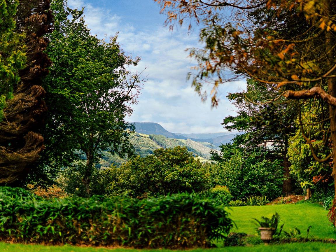 Cottage ∙ 2 Bedrooms ∙ 4 Guests - Wales