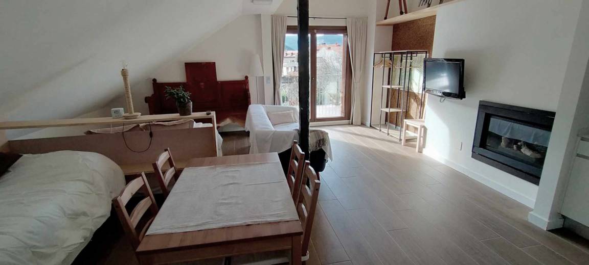 45 M² Apartamento ∙ 1 Habitación ∙ 5 Huéspedes - Biescas
