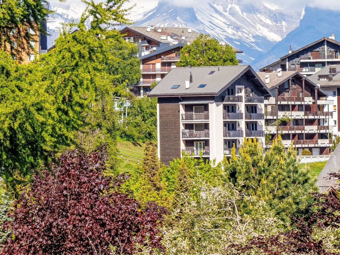 47 M² Apartment ∙ 1 Bedroom ∙ 4 Guests - Nendaz