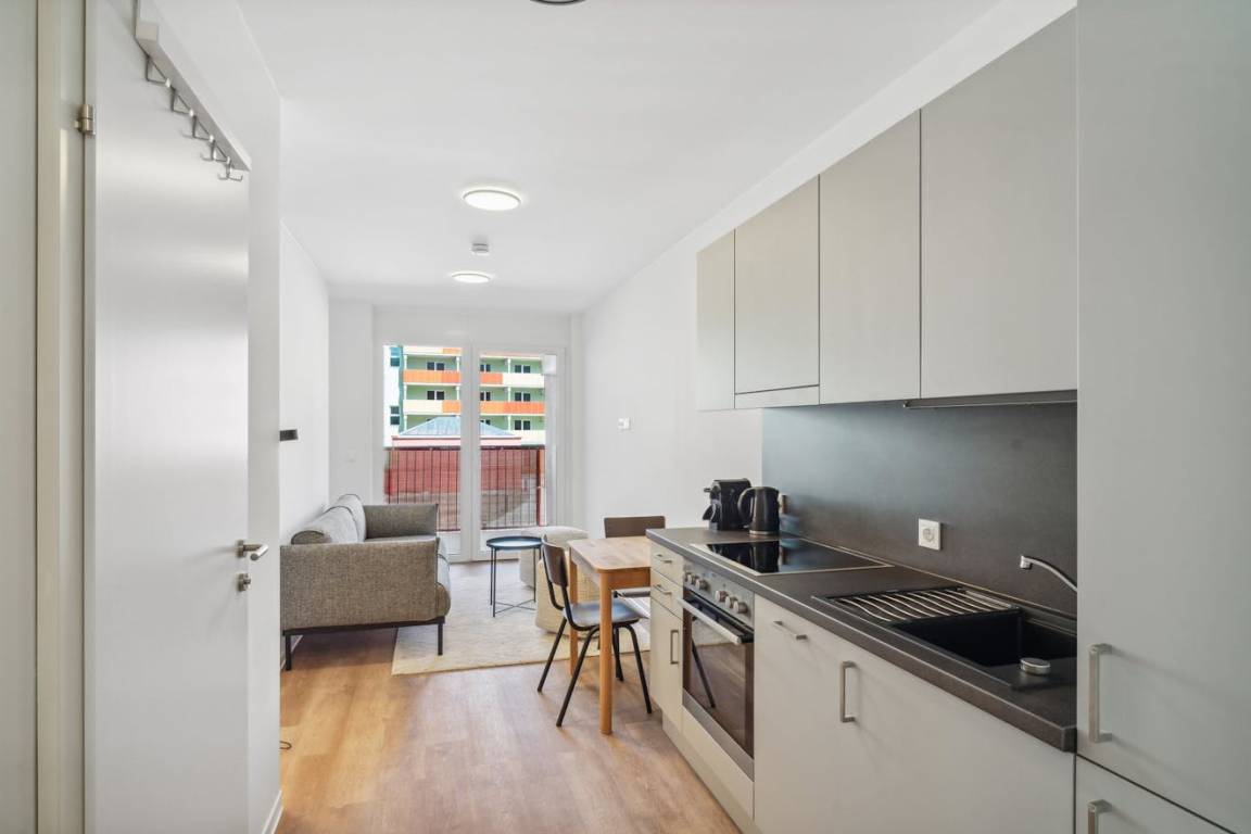 36 M² Apartamento ∙ 1 Habitación ∙ 1 Huésped - Graz