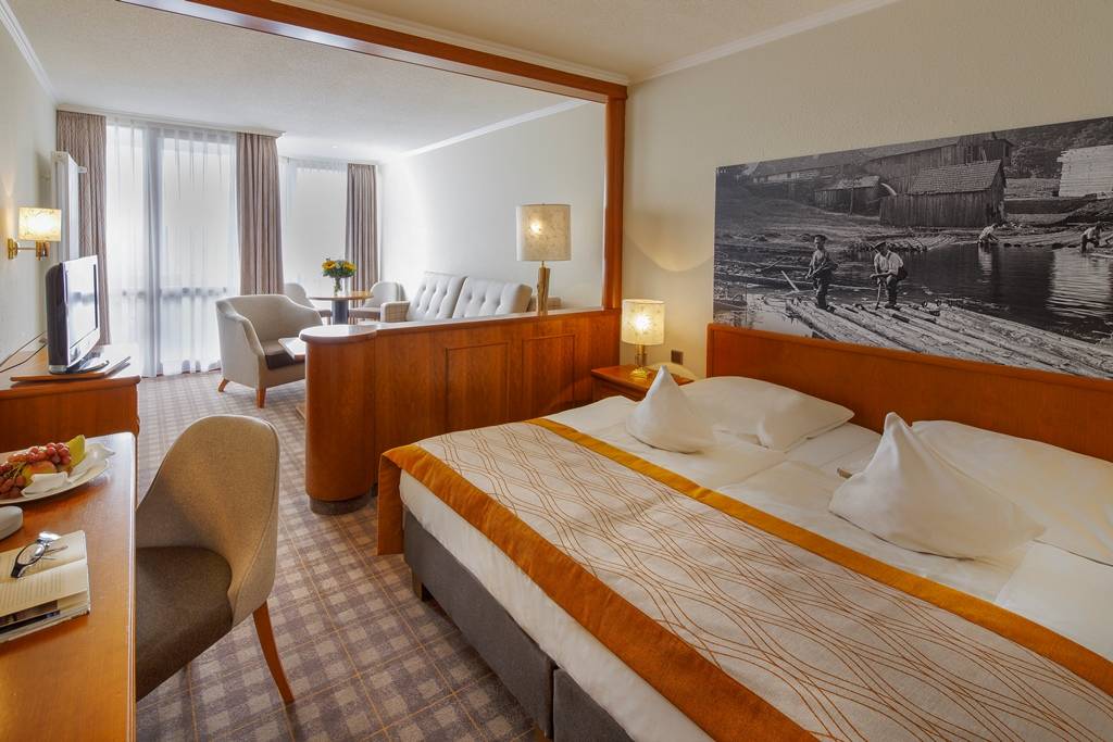 Chambre Privée ∙ 1 Chambre ∙ 2 Personnes - Titisee-Neustadt